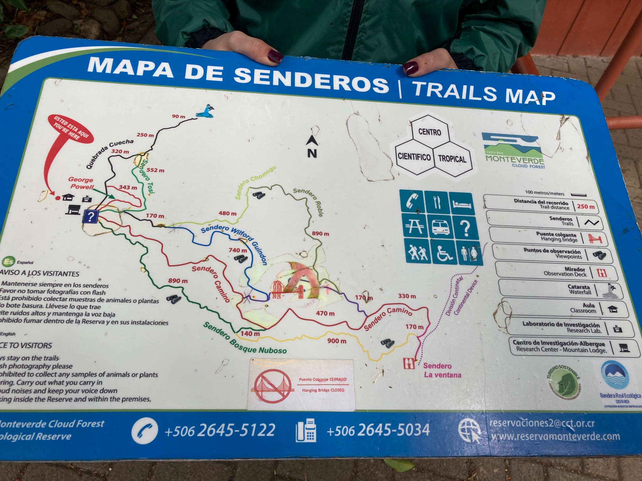 Monteverde in 3 Days – Jane's Midlife Journey