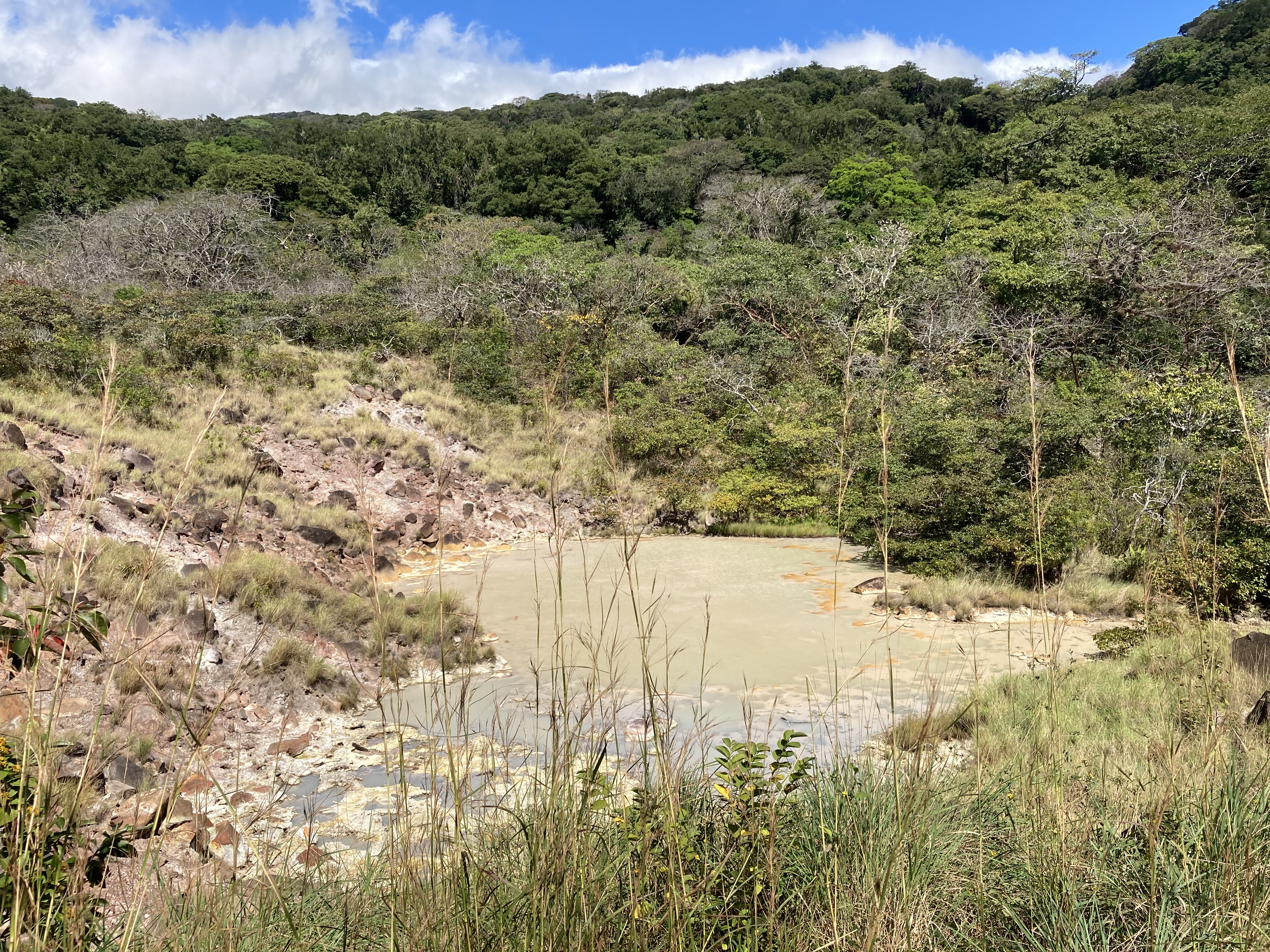 Liberia (Costa Rica) in 2 Days – Jane's Midlife Journey