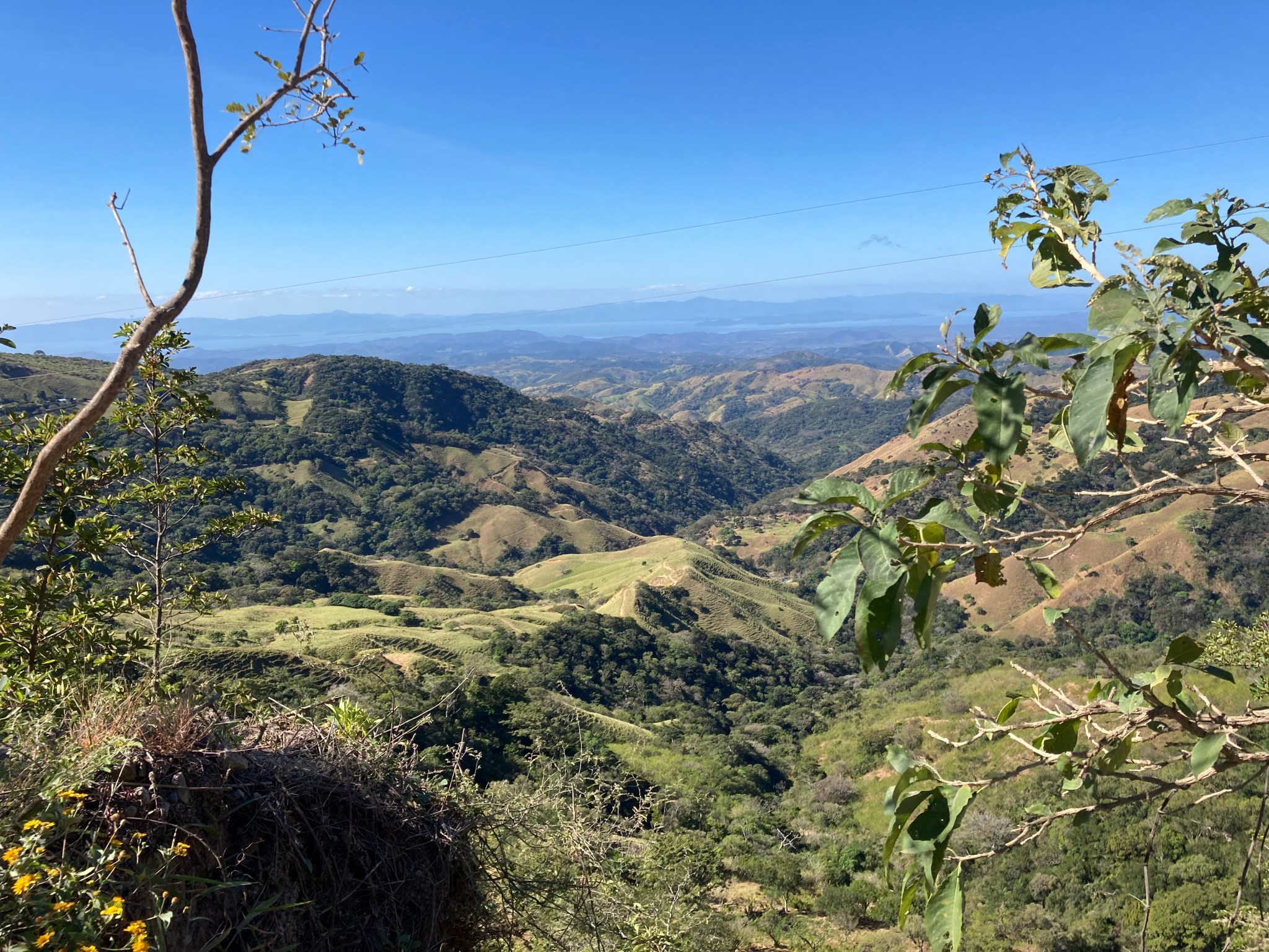 Monteverde in 3 Days – Jane's Midlife Journey