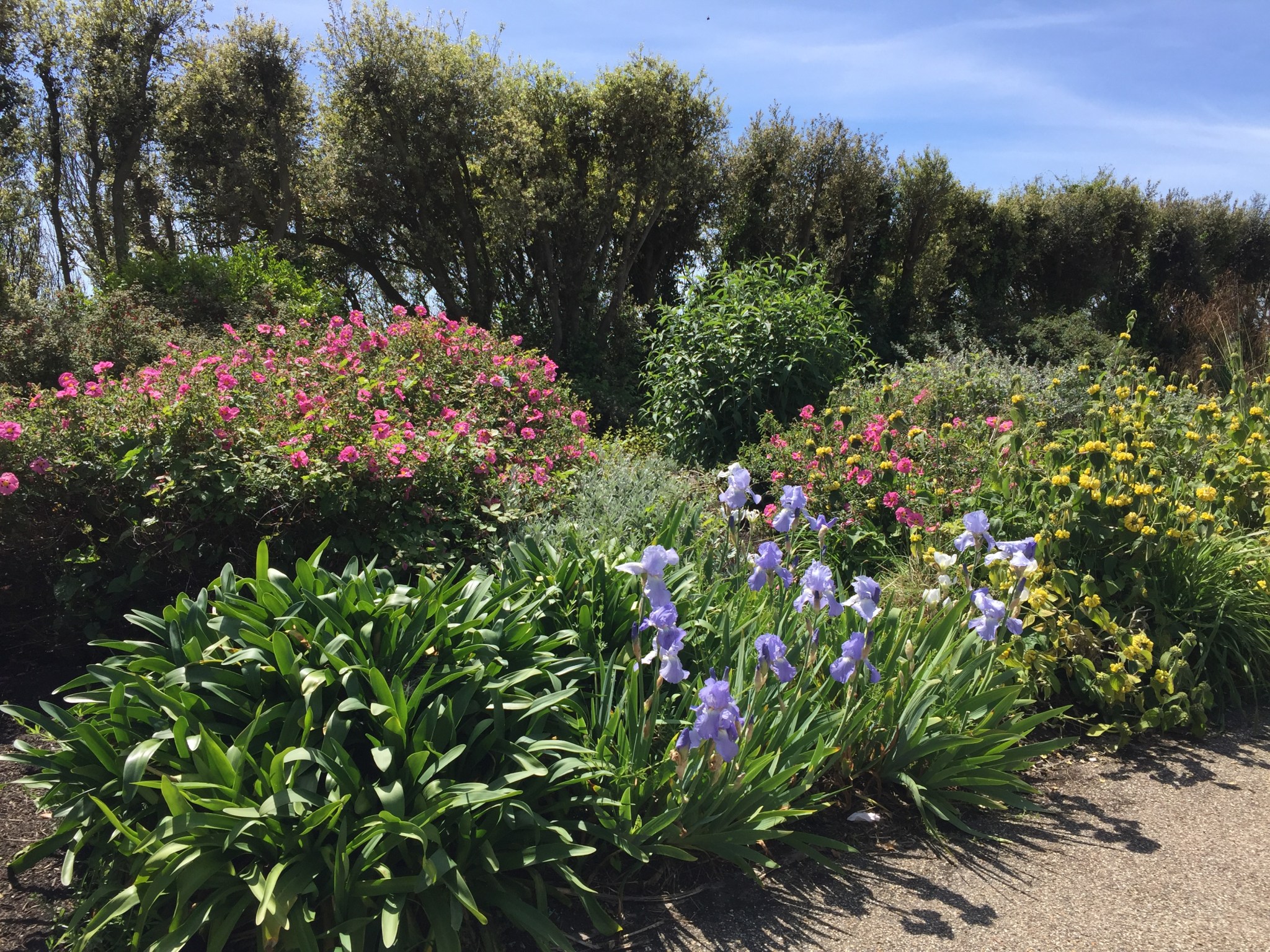 101 Things to do in Bournemouth – Boscombe – Jane's Midlife Journey