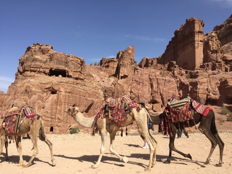 Petra: Top 10 Things to do – Jane's Midlife Journey