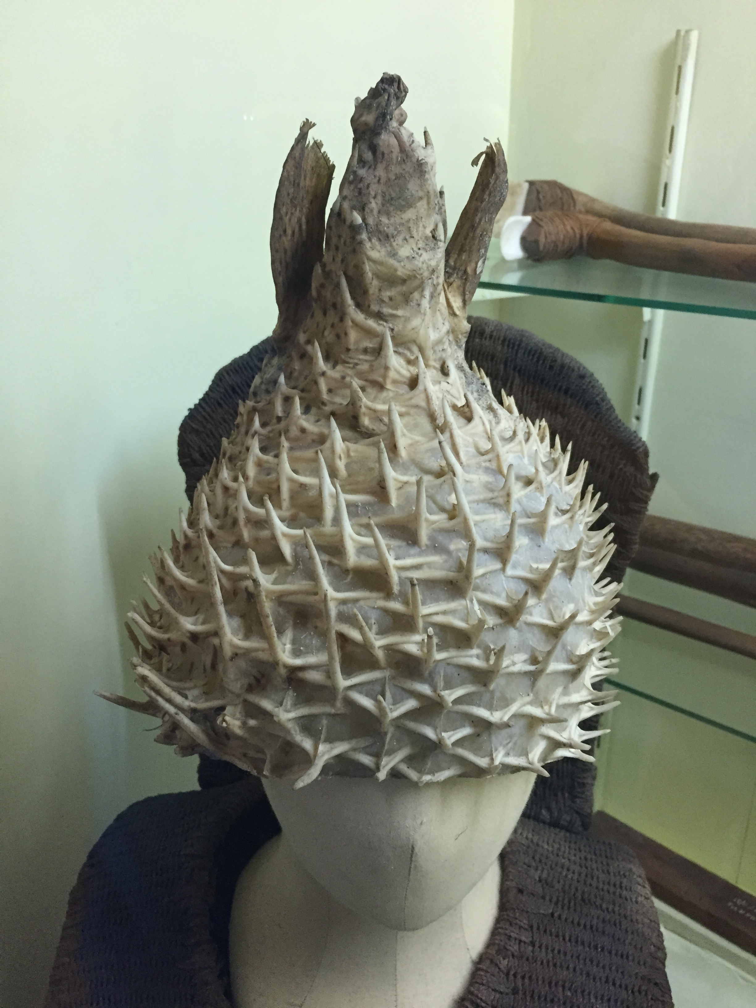 Suva: Top 10 Things to do – Jane's Midlife Journey