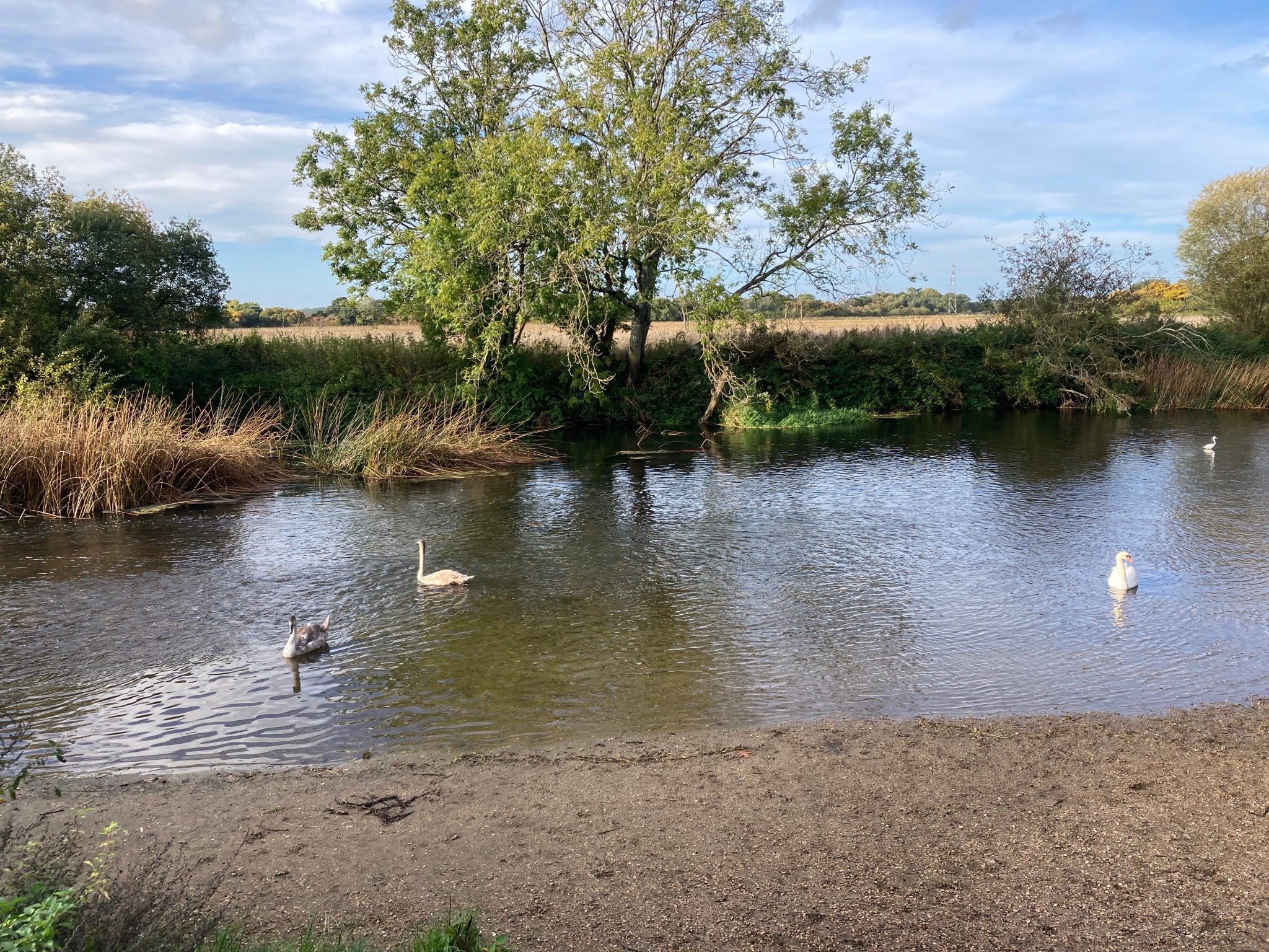 101 Things to do in Bournemouth – Kingfisher Barn – Jane's Midlife Journey