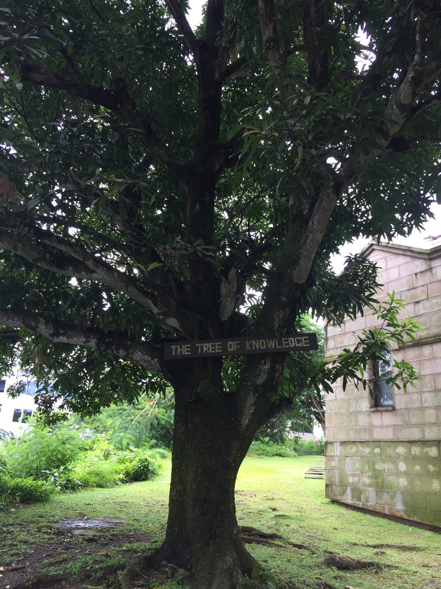 Suva: Top 10 Things to do – Jane's Midlife Journey