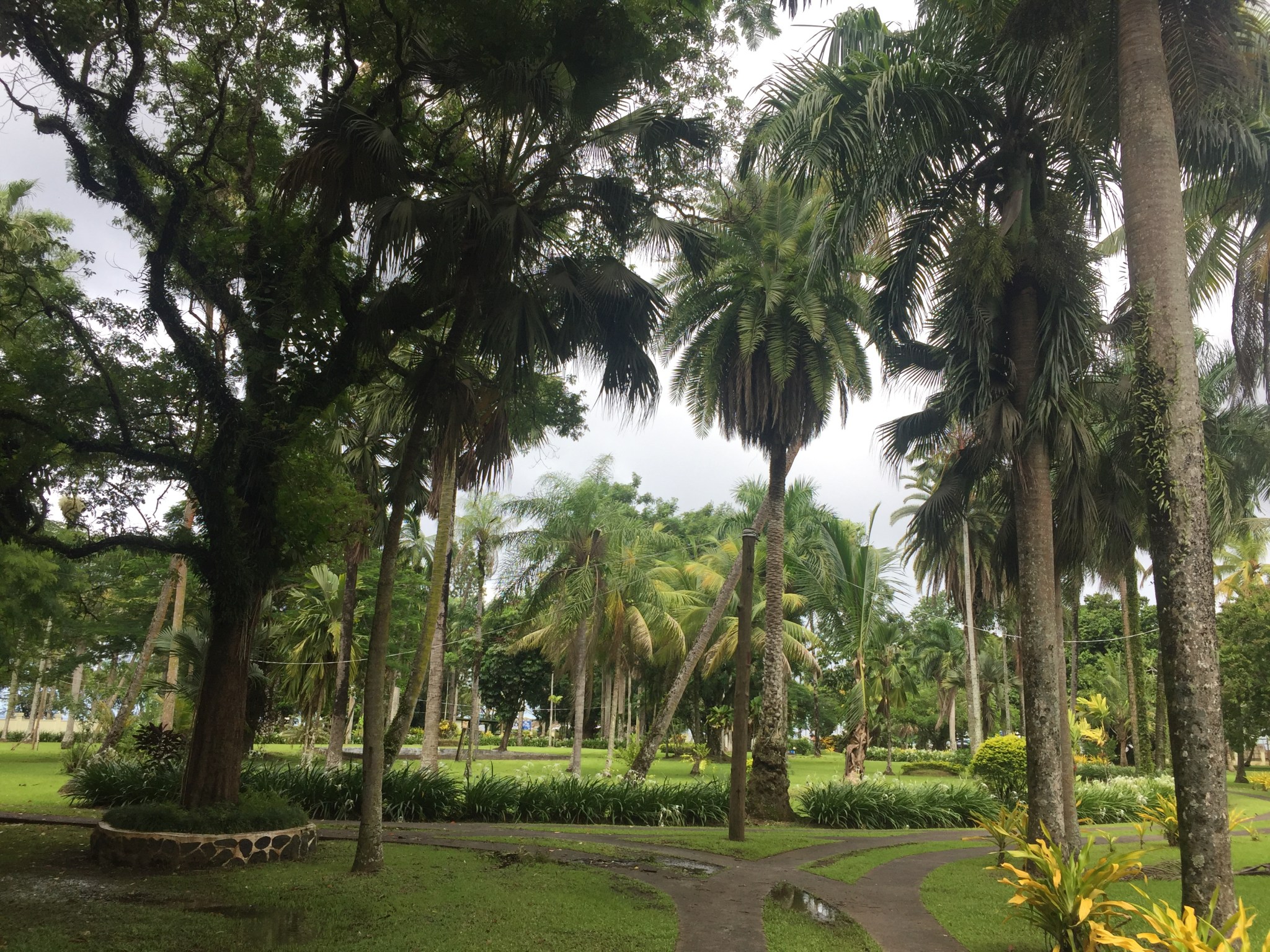 Suva: Top 10 Things to do – Jane's Midlife Journey