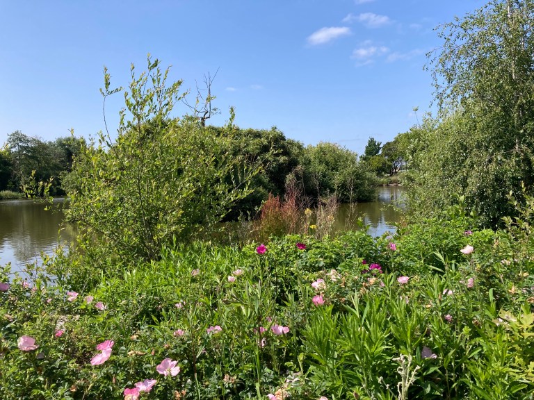 101 Things to do in Bournemouth – Poole Park – Jane's Midlife Journey