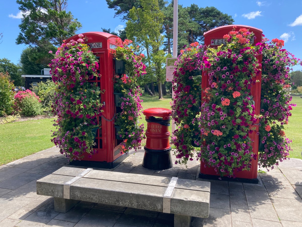 101 Things to do in Bournemouth – Poole Park – Jane's Midlife Journey