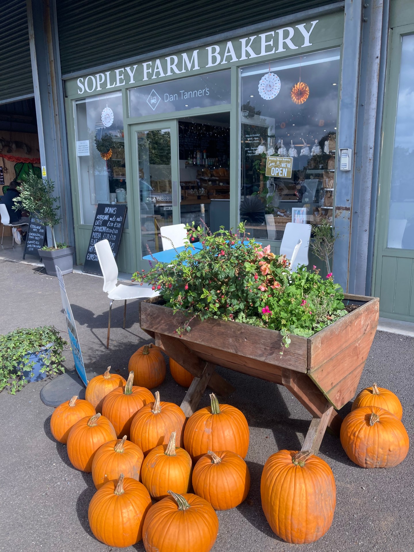 101 Things to do in Bournemouth – Sopley Farm – Jane's Midlife Journey
