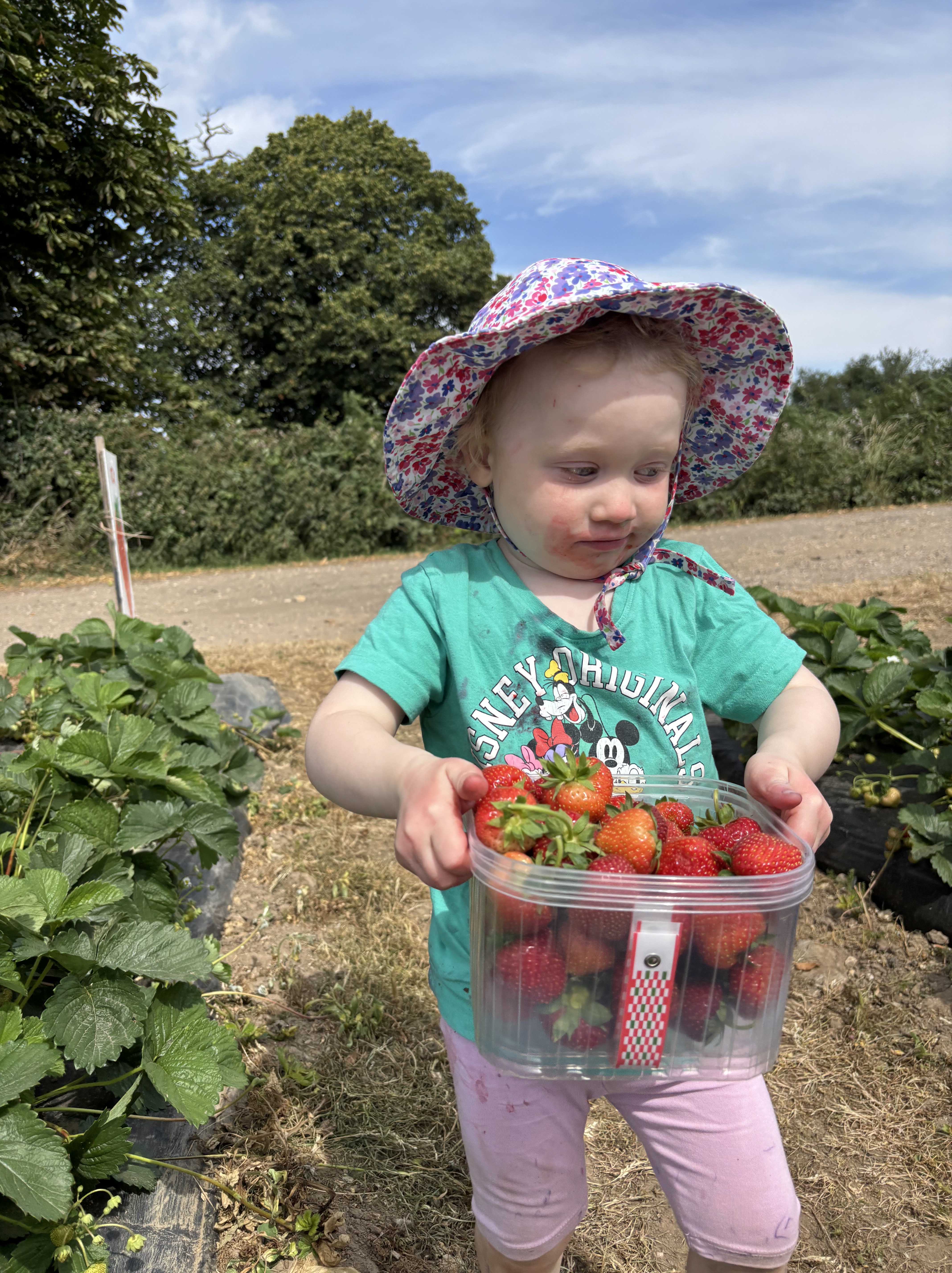 101 Things to do in Bournemouth – Sopley Farm – Jane's Midlife Journey