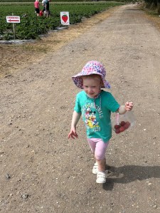 101 Things to do in Bournemouth – Sopley Farm – Jane's Midlife Journey