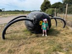 101 Things to do in Bournemouth – Sopley Farm – Jane's Midlife Journey