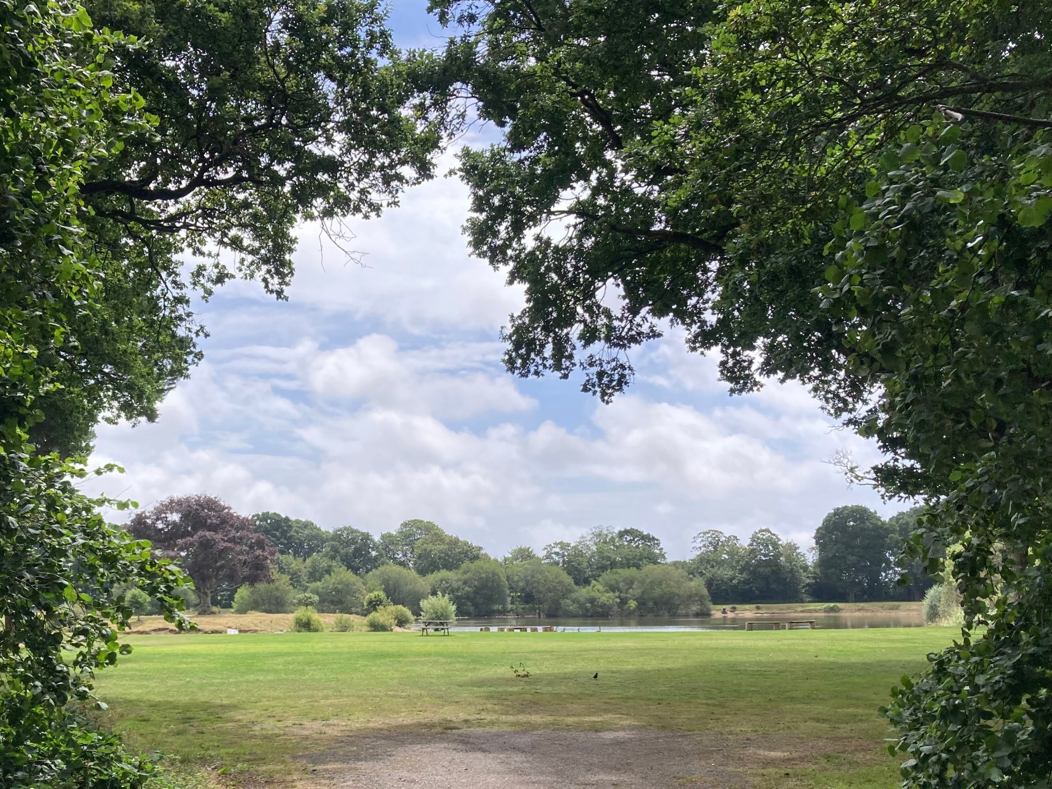 101 Things to do in Bournemouth – Sopley Farm – Jane's Midlife Journey