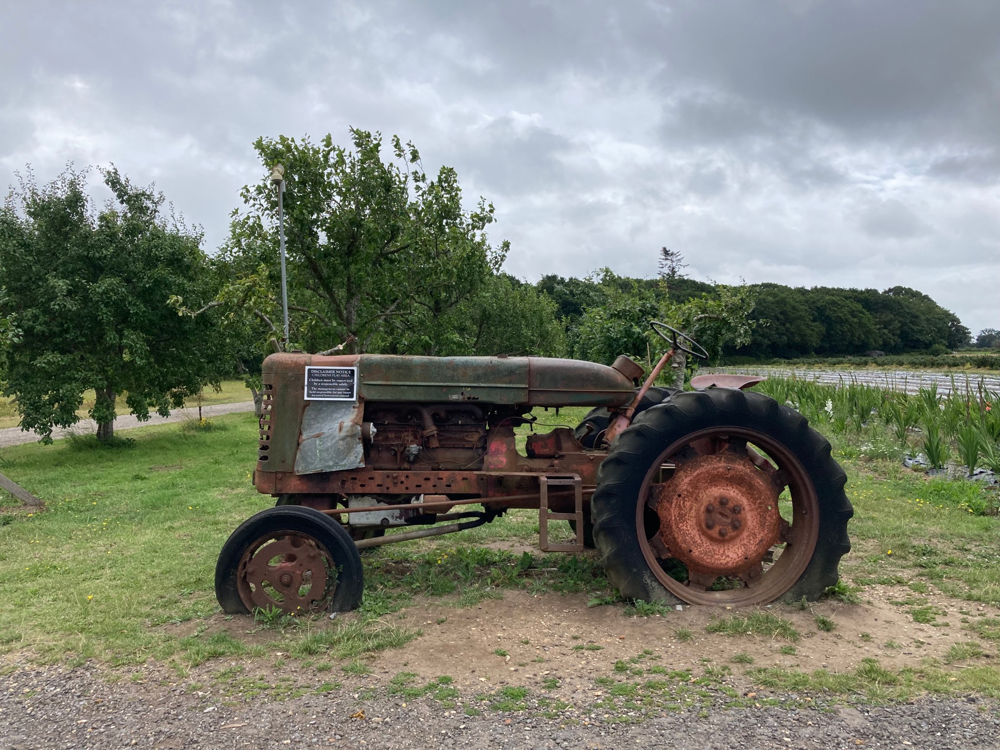 101 Things to do in Bournemouth – Sopley Farm – Jane's Midlife Journey