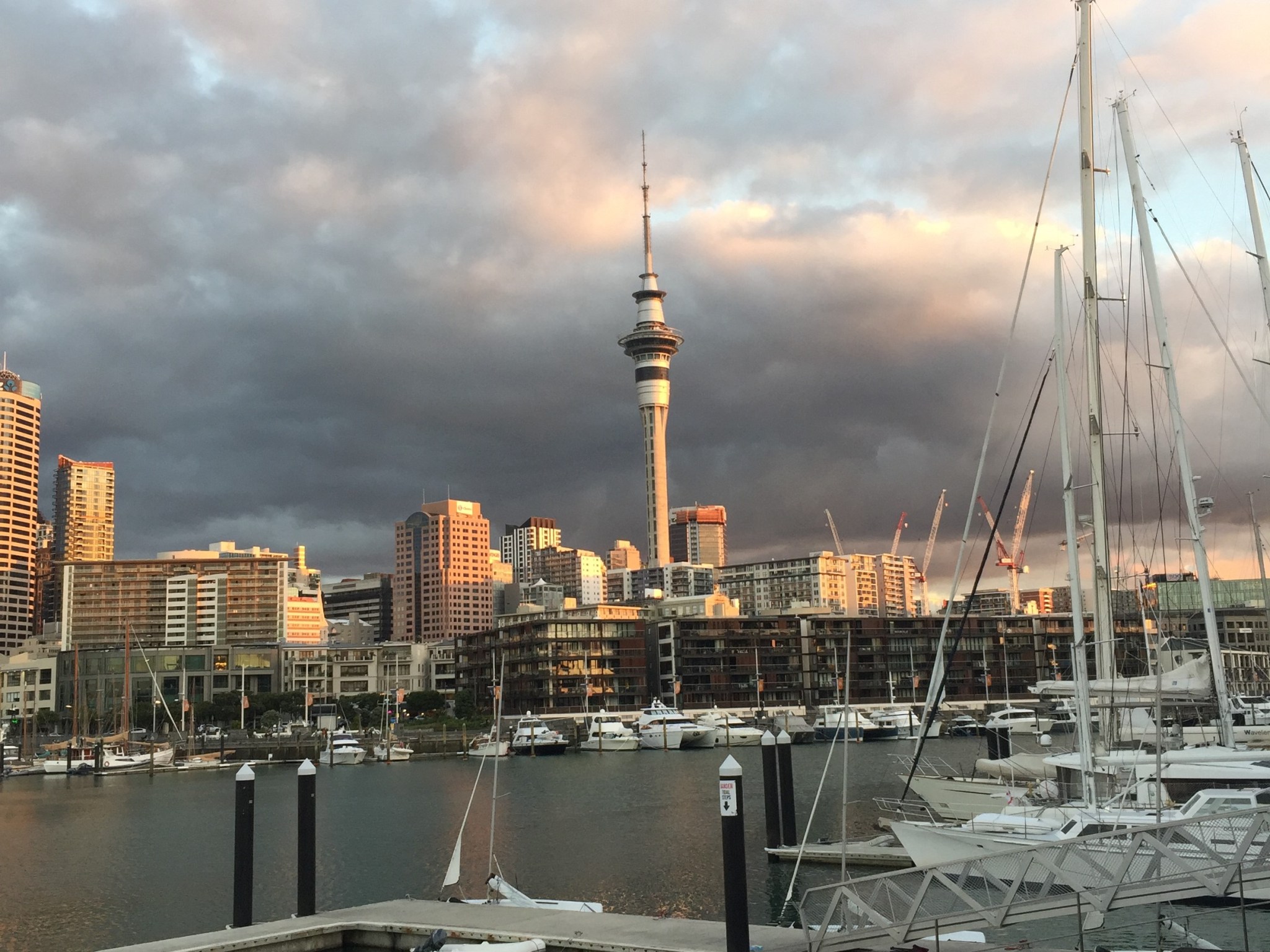 Auckland in 2 Days – Jane's Midlife Journey