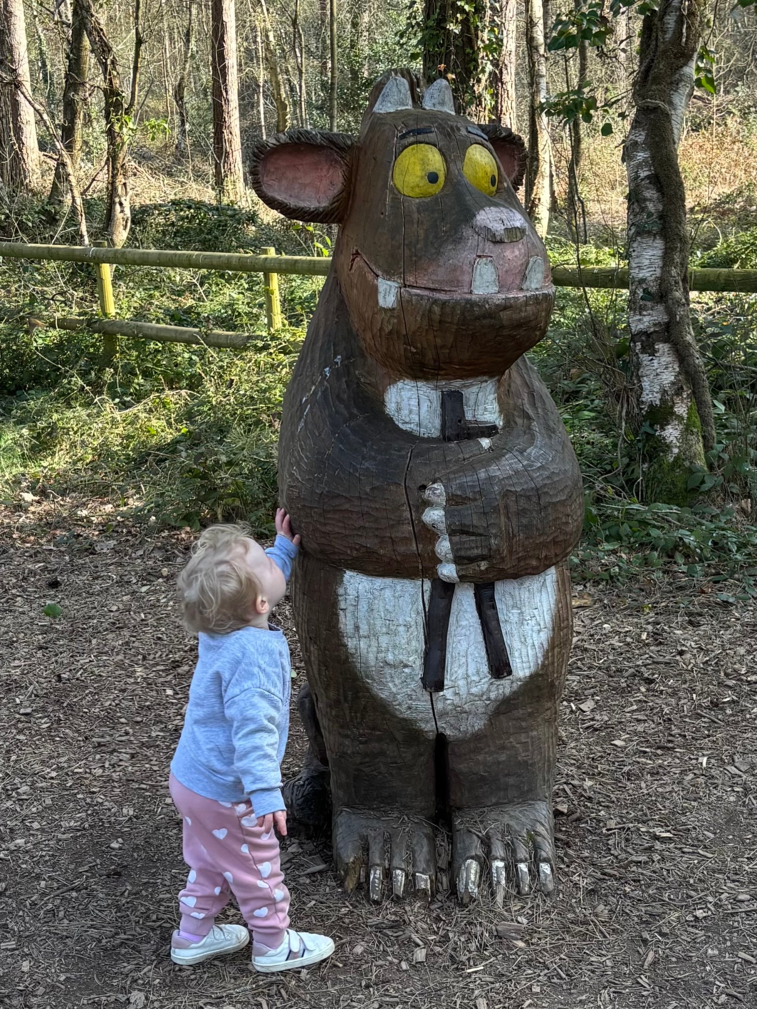 101 Things to do in Bournemouth – Moors Valley Country Park – Jane's ...