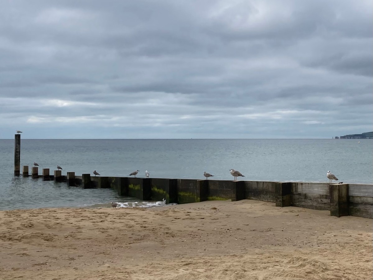 101 Things to do in Bournemouth – Alum Chine Beach – Jane's Midlife Journey