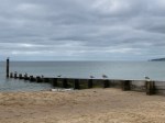 101 Things to do in Bournemouth – Alum Chine Beach – Jane's Midlife Journey