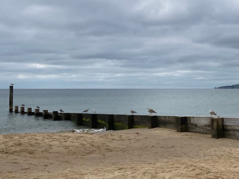 101 Things to do in Bournemouth – Alum Chine Beach – Jane's Midlife Journey