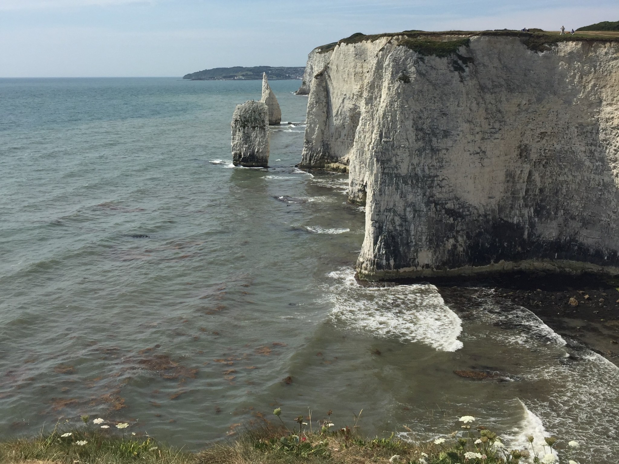 101 Things to do in Bournemouth – Hike to Old Harry – Jane's Midlife ...