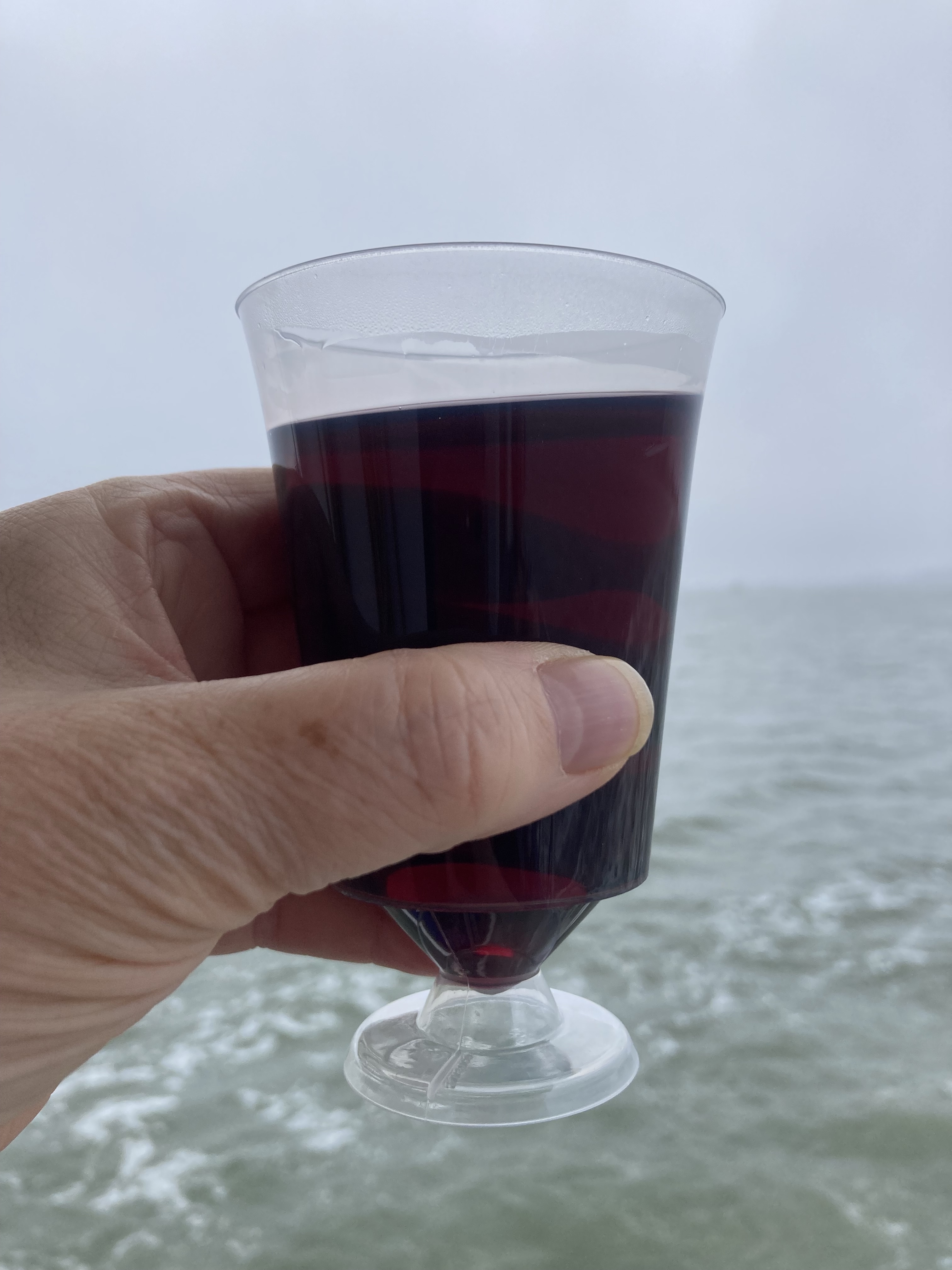 101 Things to do in Bournemouth – Poole Harbour Cruise – Jane's Midlife ...