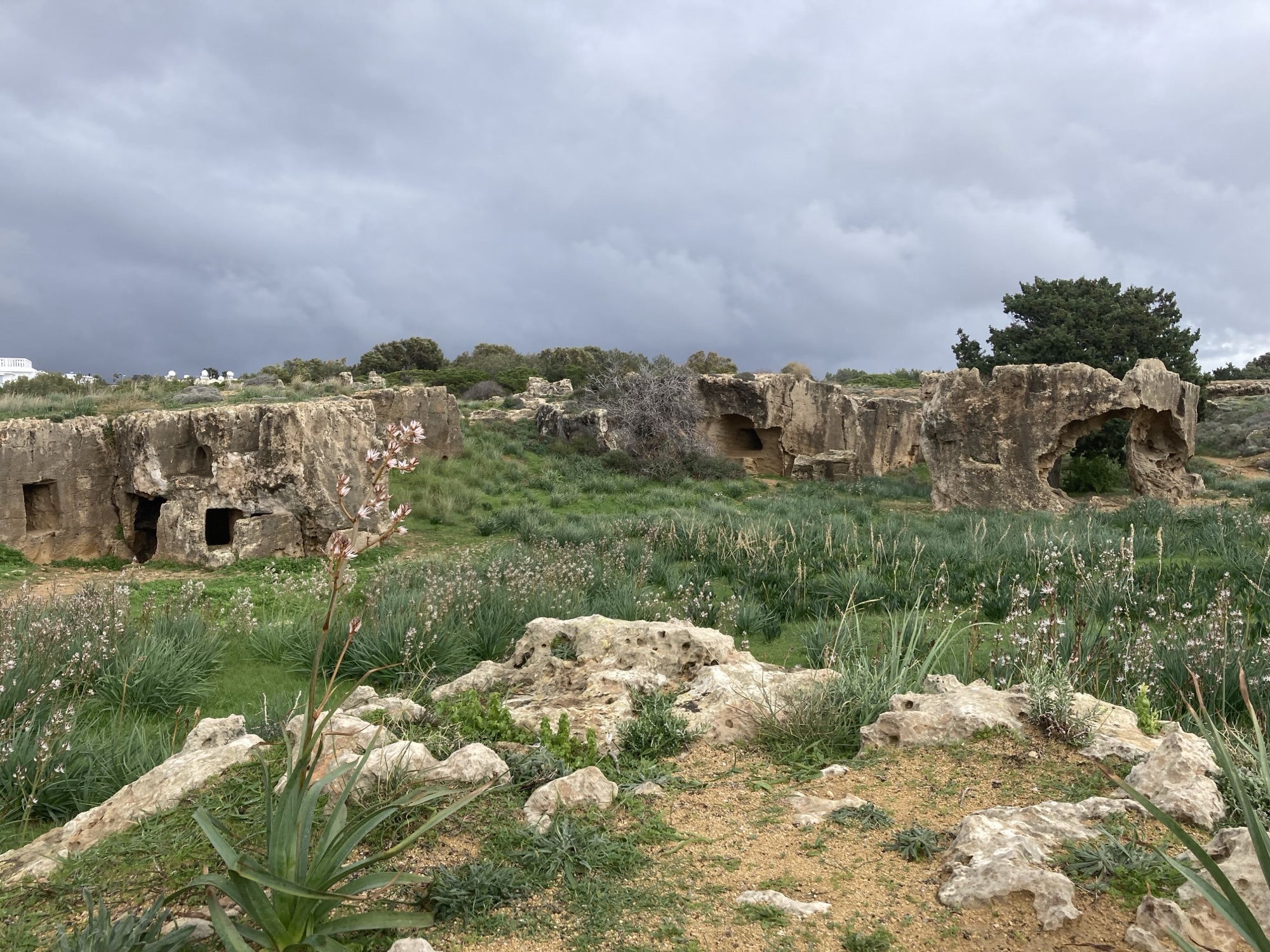 Paphos in 1 Day – Jane's Midlife Journey