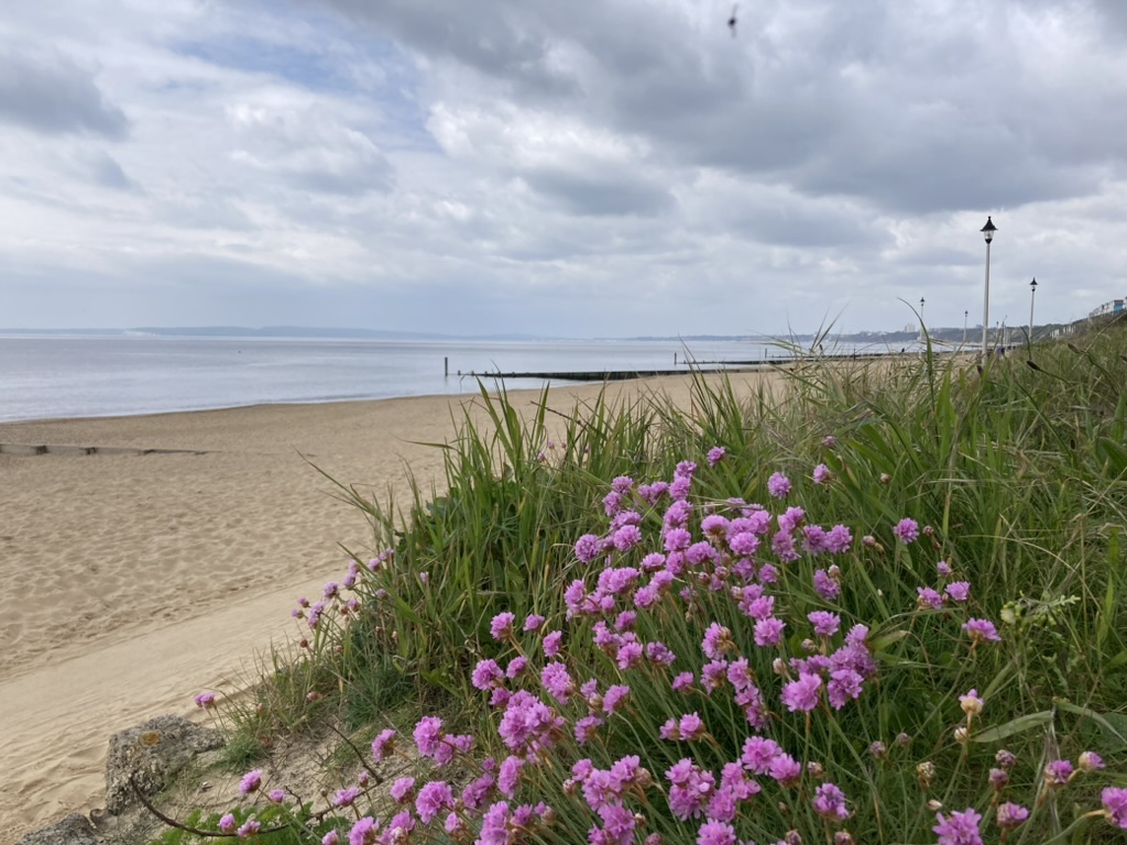 101 Things to do in Bournemouth – Southbourne Beach – Jane's Midlife ...