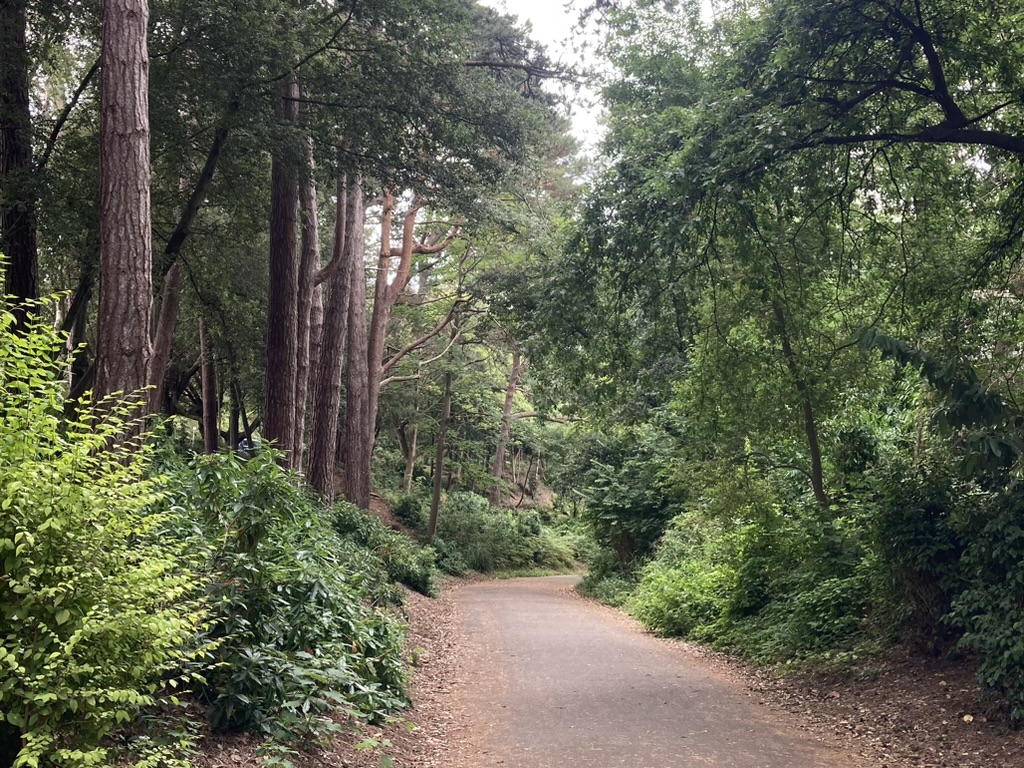 101 Things to do in Bournemouth – Alum Chine Beach – Jane's Midlife Journey