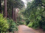 101 Things to do in Bournemouth – Alum Chine Beach – Jane's Midlife Journey