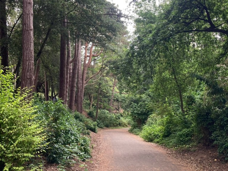 101 Things to do in Bournemouth – Alum Chine Beach – Jane's Midlife Journey