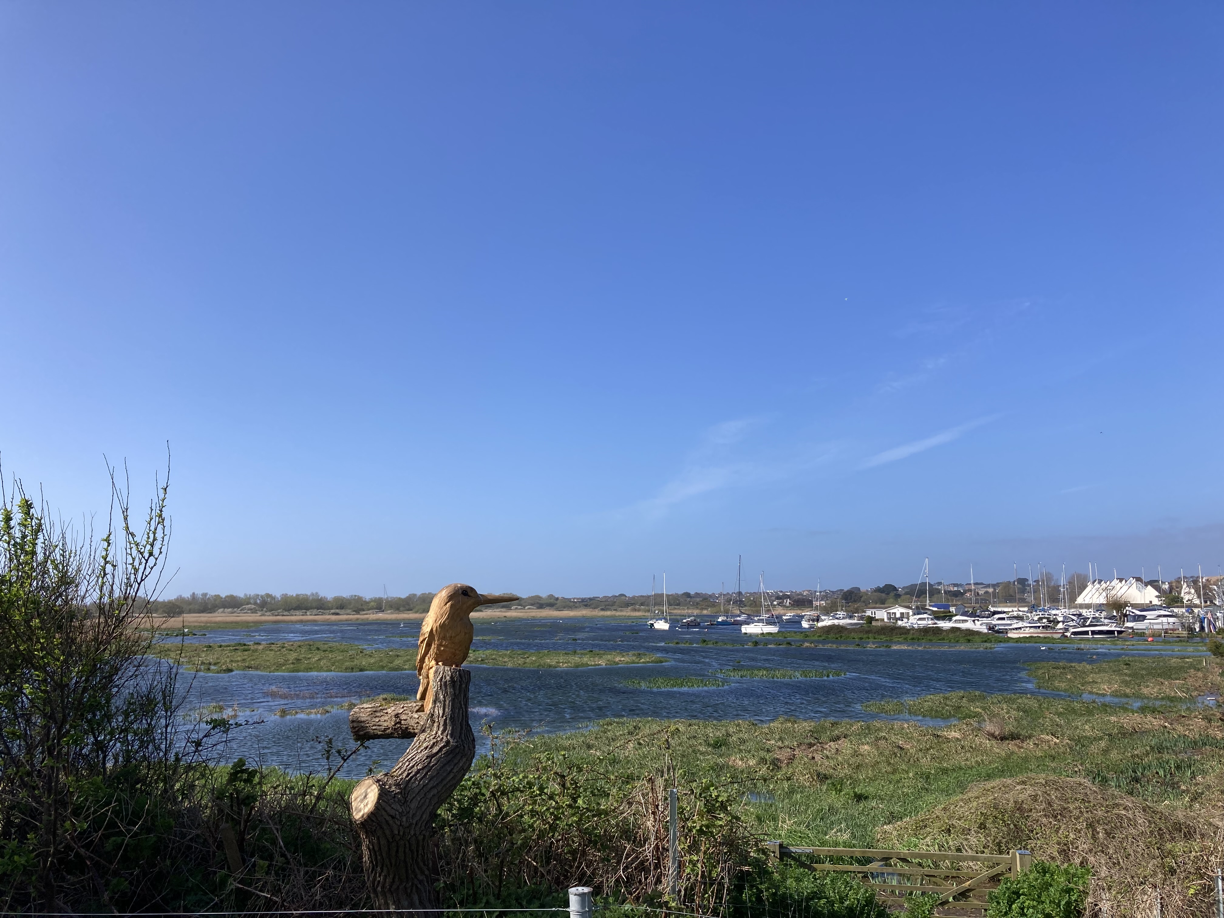 101 Things to do in Bournemouth – Stanpit Marsh Nature Reserve – Jane's ...