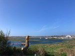101 Things to do in Bournemouth – Stanpit Marsh Nature Reserve – Jane's ...