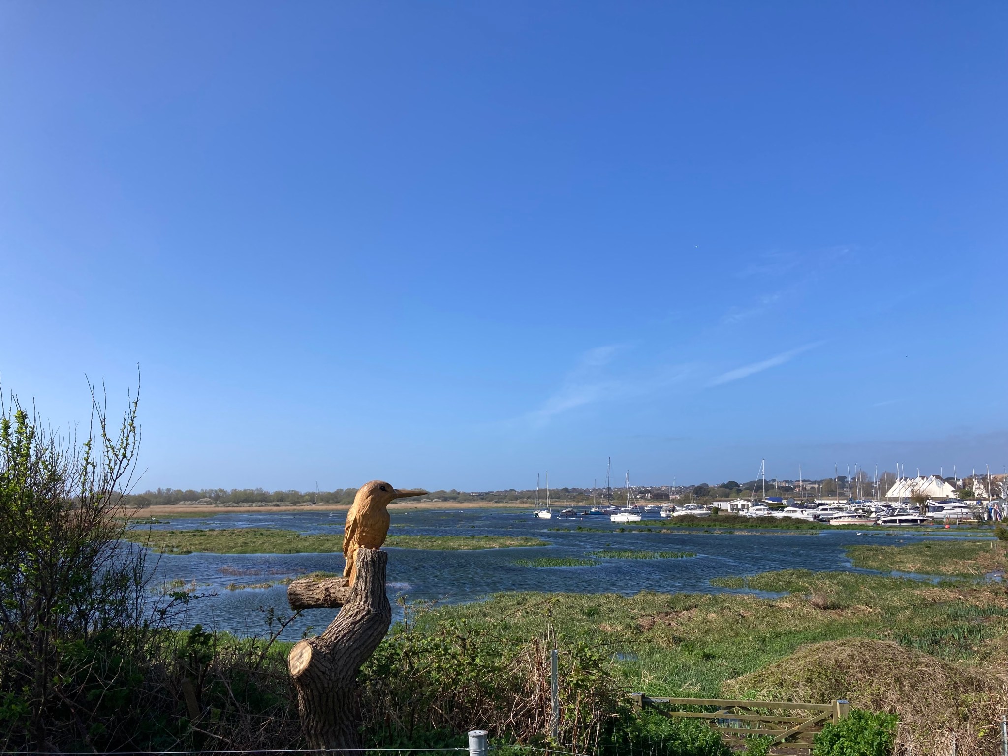 101 Things to do in Bournemouth – Stanpit Marsh Nature Reserve – Jane's ...
