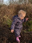 101 Things to do in Bournemouth – Stanpit Marsh Nature Reserve – Jane's ...