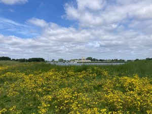 101 Things to do in Bournemouth – Stanpit Marsh Nature Reserve – Jane's ...