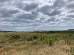 101 Things to do in Bournemouth – Stanpit Marsh Nature Reserve – Jane's ...
