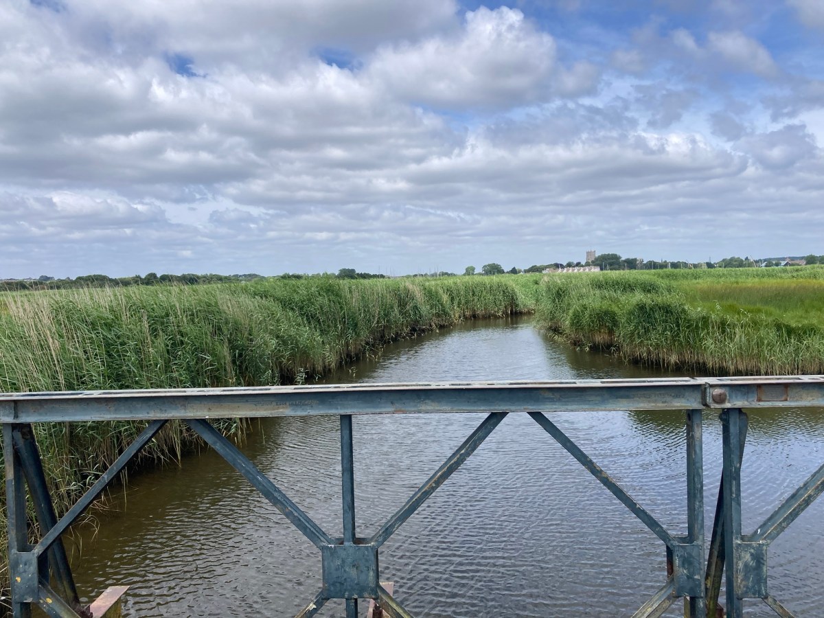 101 Things to do in Bournemouth – Stanpit Marsh Nature Reserve – Jane's ...