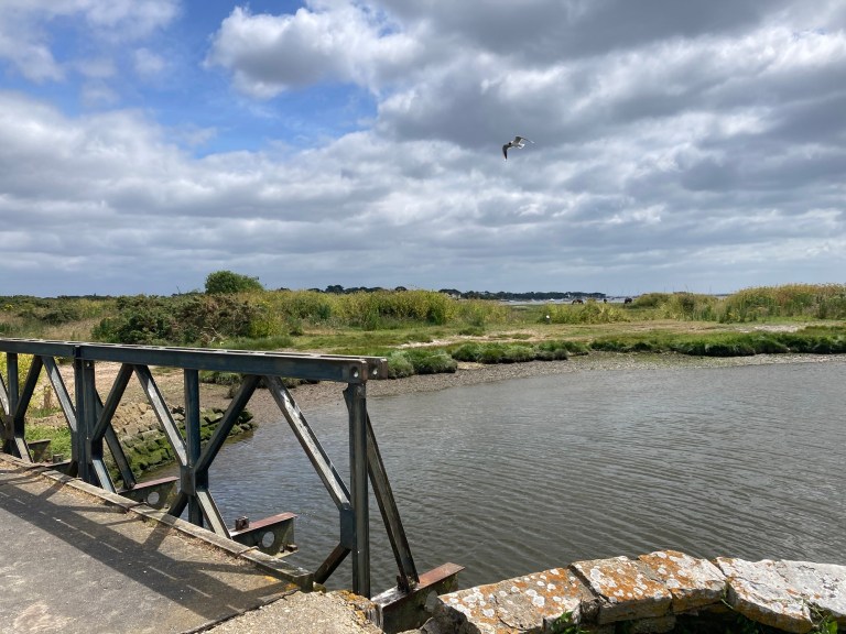 101 Things to do in Bournemouth – Stanpit Marsh Nature Reserve – Jane's ...