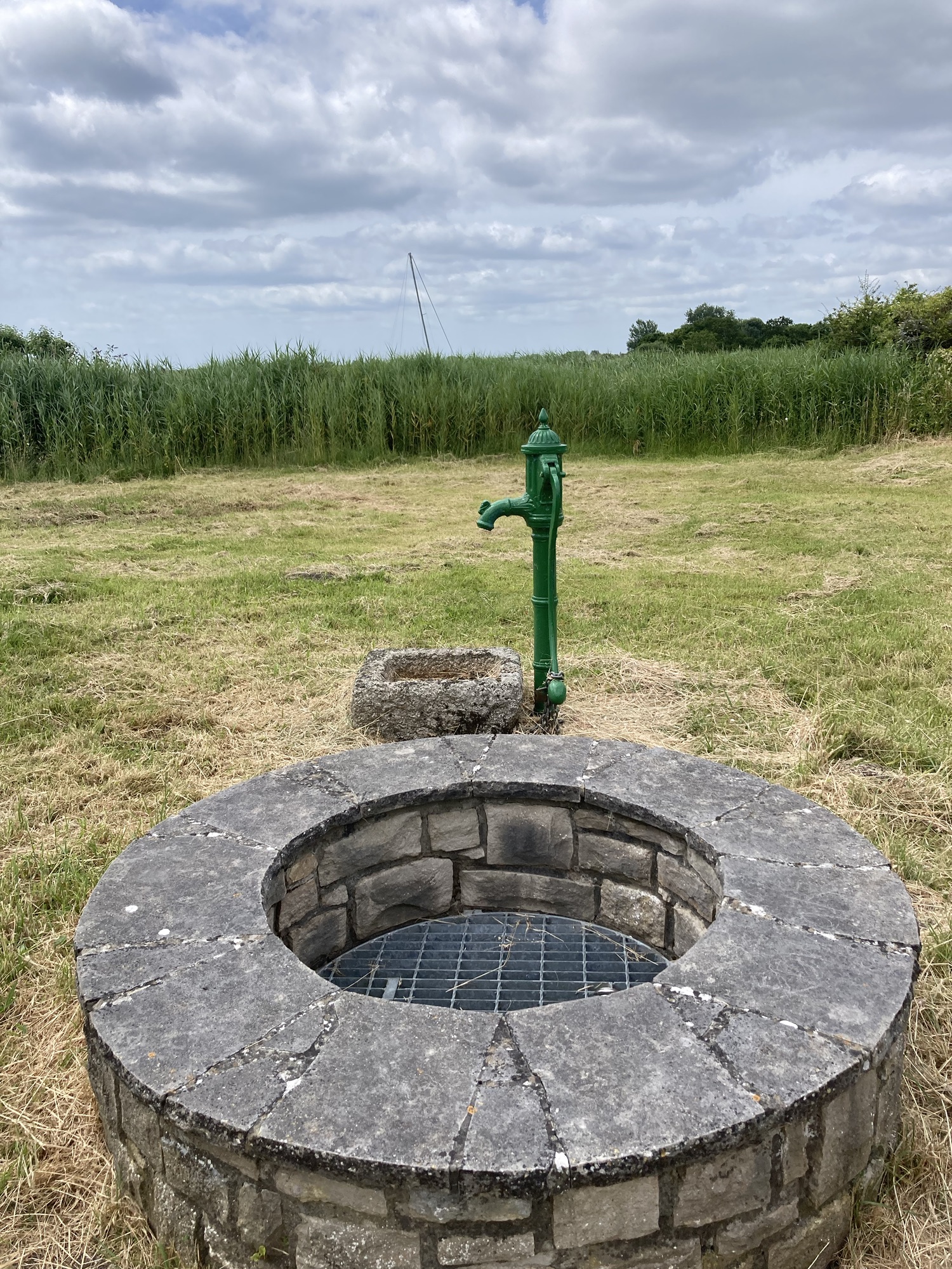 101 Things to do in Bournemouth – Stanpit Marsh Nature Reserve – Jane's ...