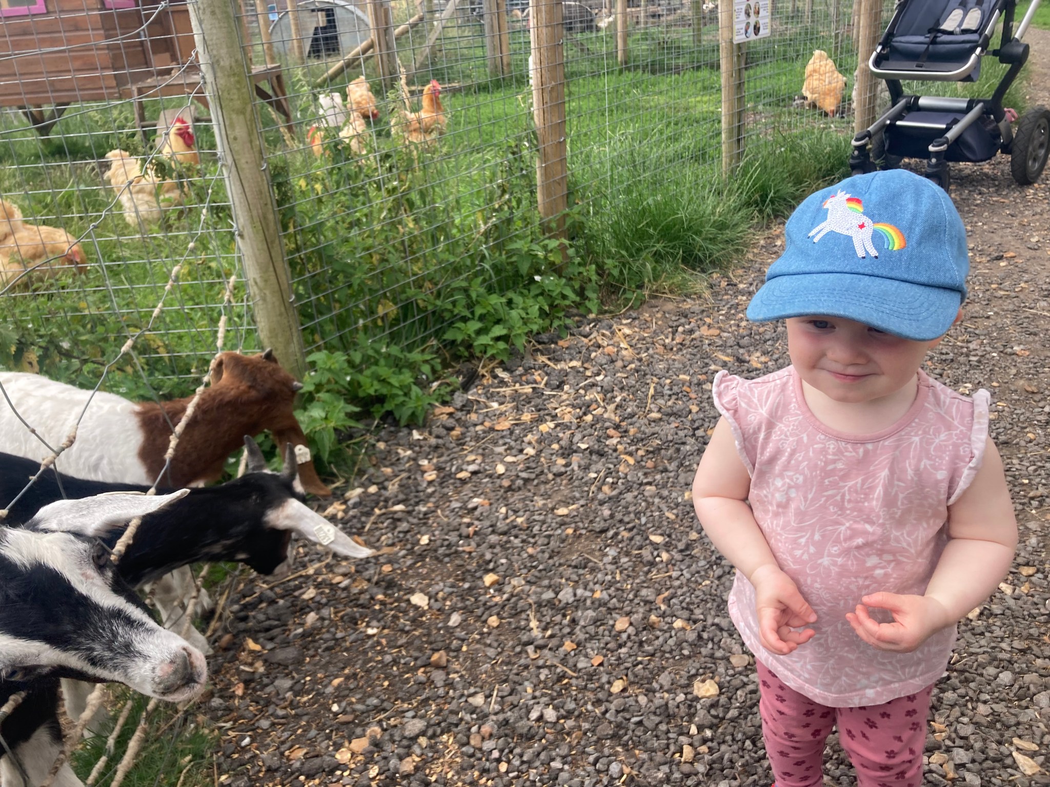 101 Things to do in Bournemouth with Babies and Toddlers – Nick’s Farm ...
