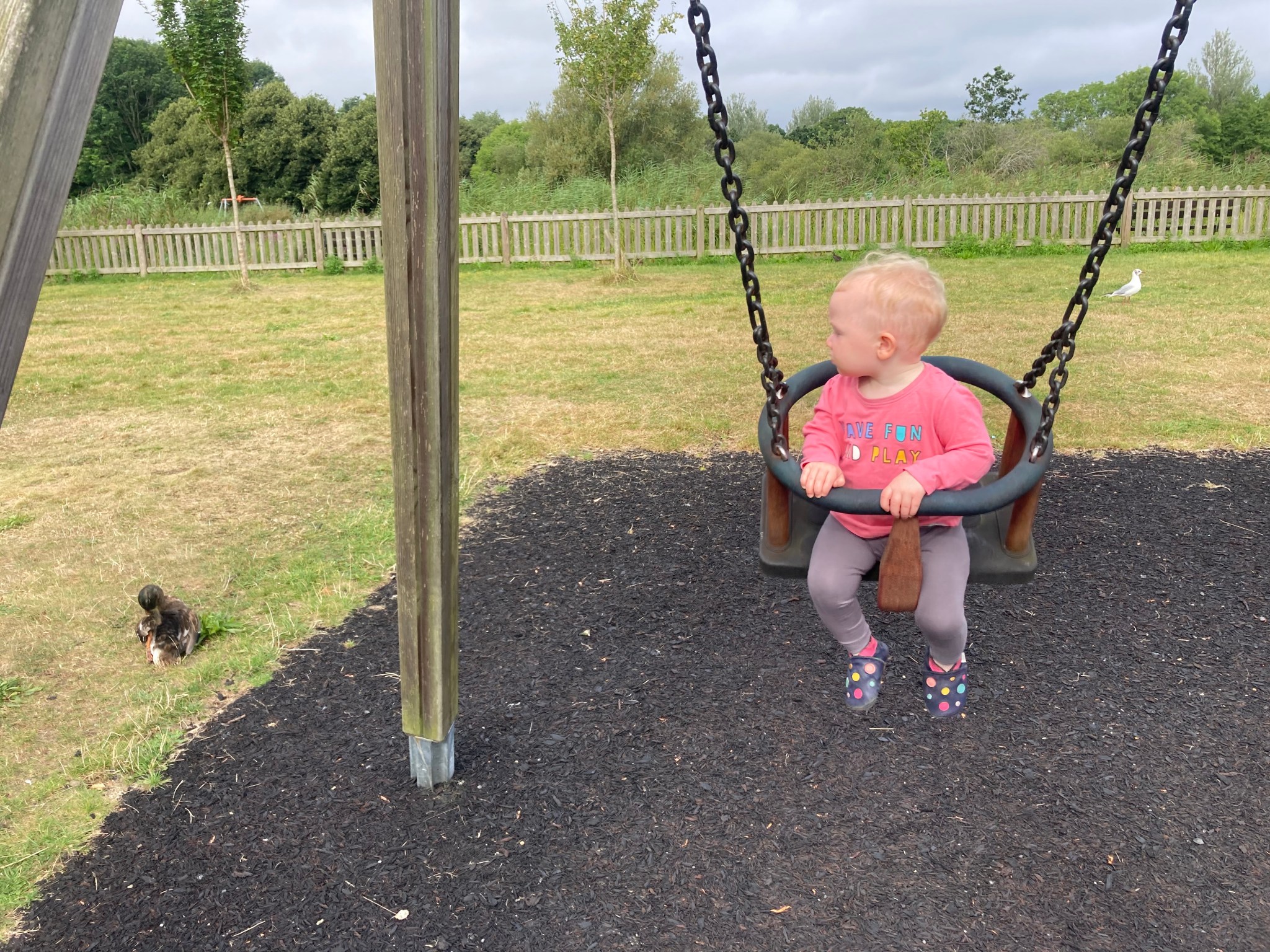 101 Things to do in Bournemouth with Babies and Toddlers – Playgrounds ...