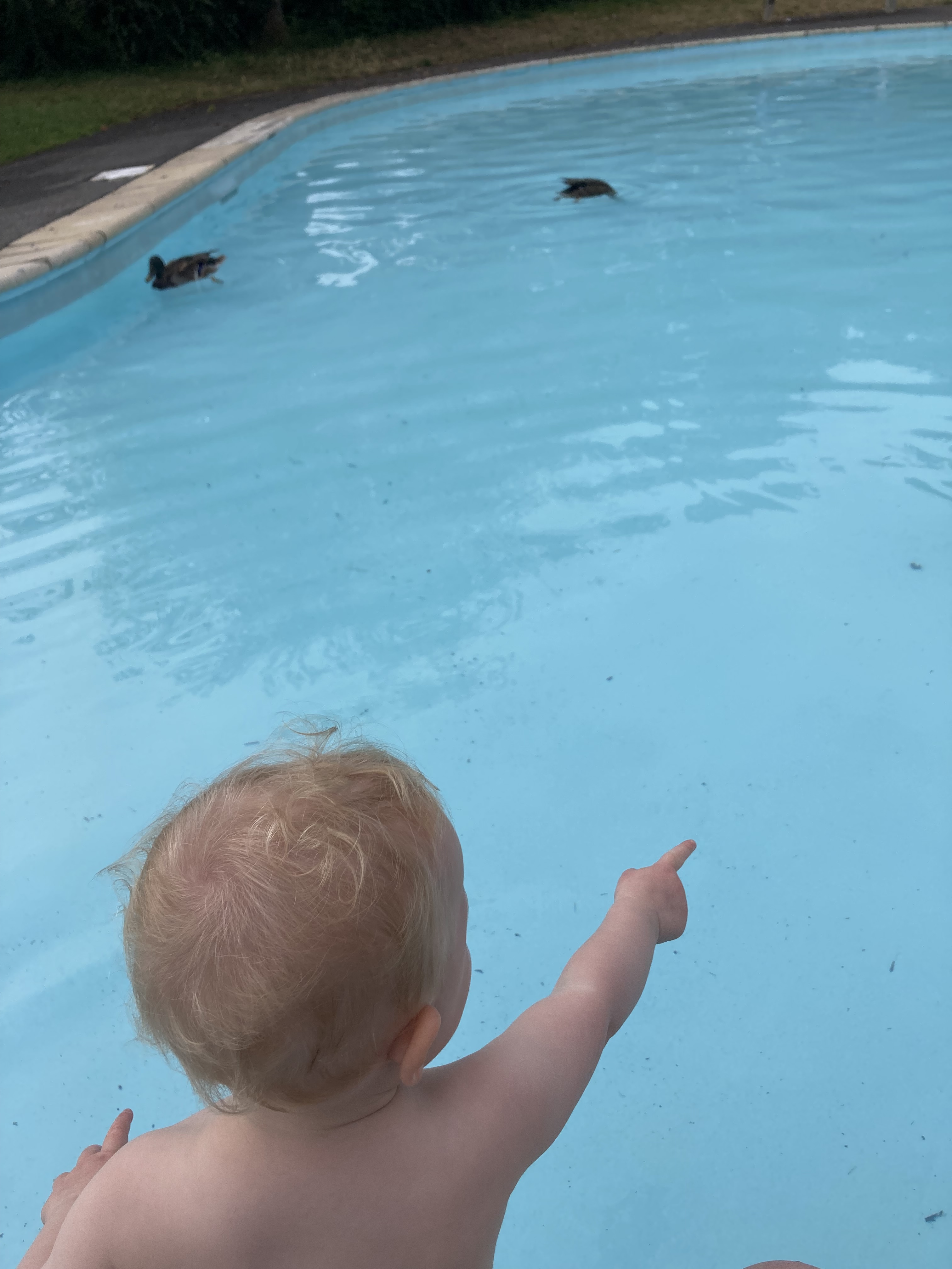 101 Things to do in Bournemouth with Babies and Toddlers – Littledown ...