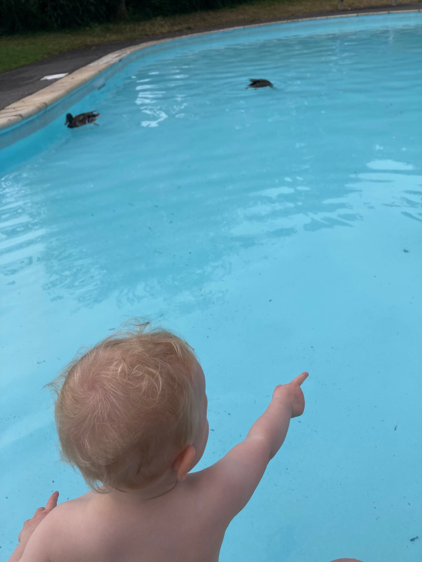 101 Things to do in Bournemouth with Babies and Toddlers – Littledown ...