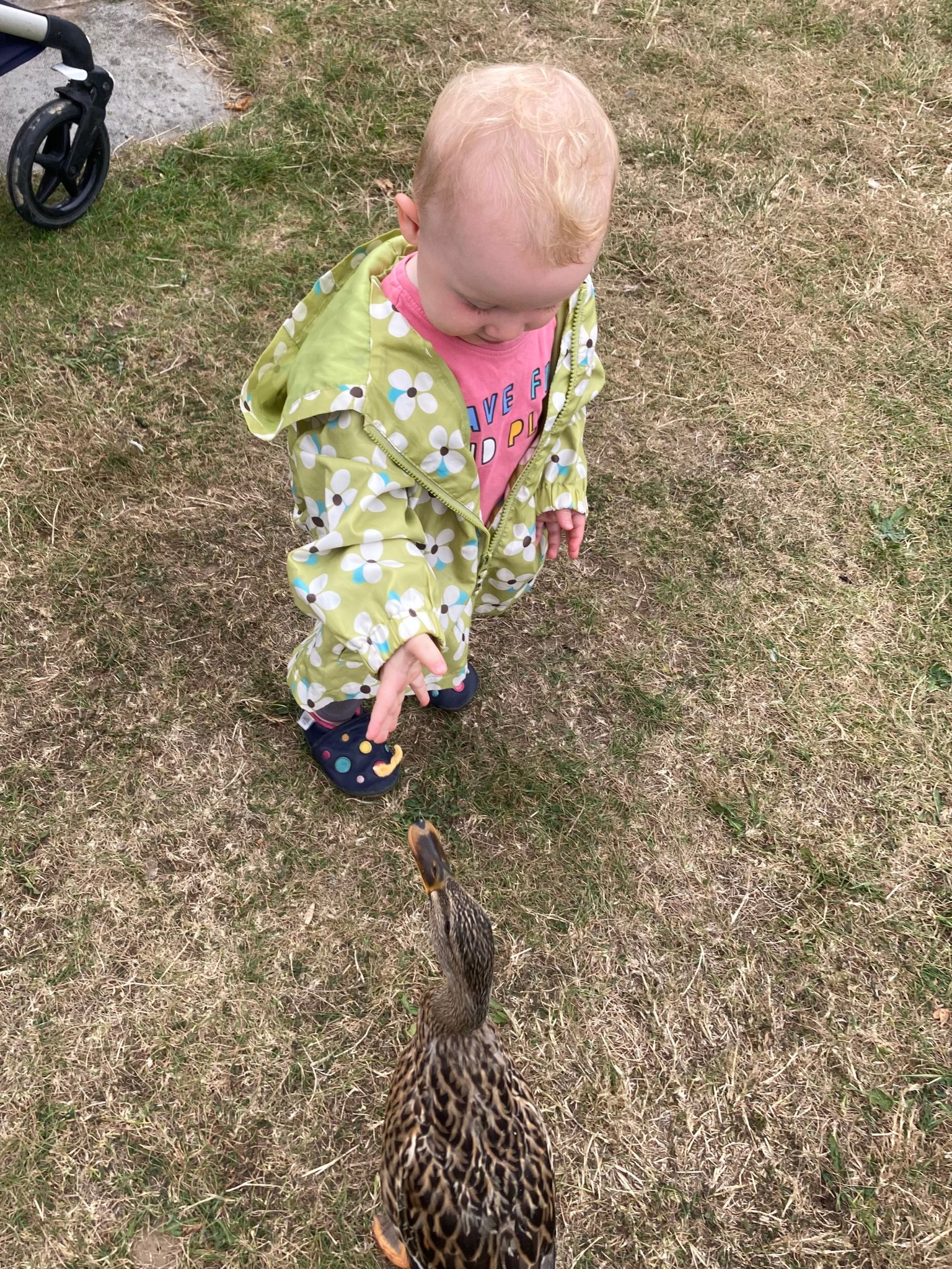 101 Things to do in Bournemouth with Babies and Toddlers – Littledown ...